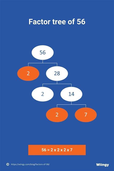 Factor Tree Of 56 Factor Trees Prime Factorization Factors