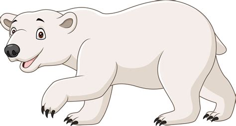 Polar Bear Vector Art Icons And Graphics For Free Download