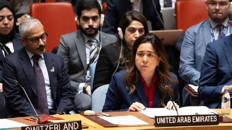 Uae Welcomes Adoption Of Resolution On Israel Palestine Conflict