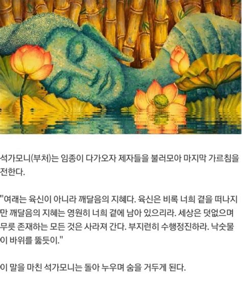 석가모니의 진짜 유언 깔깔유머방 커뮤니티 팍스넷 증권포털
