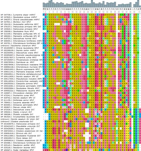 What Can Be Deduced From A Gene Sequence Researchgate