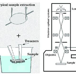 Sample Preparation Process And Schematic Diagram Of The Main Components Download Scientific