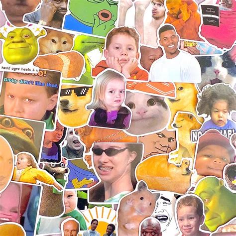 Meme Reaction Stickers Etsy
