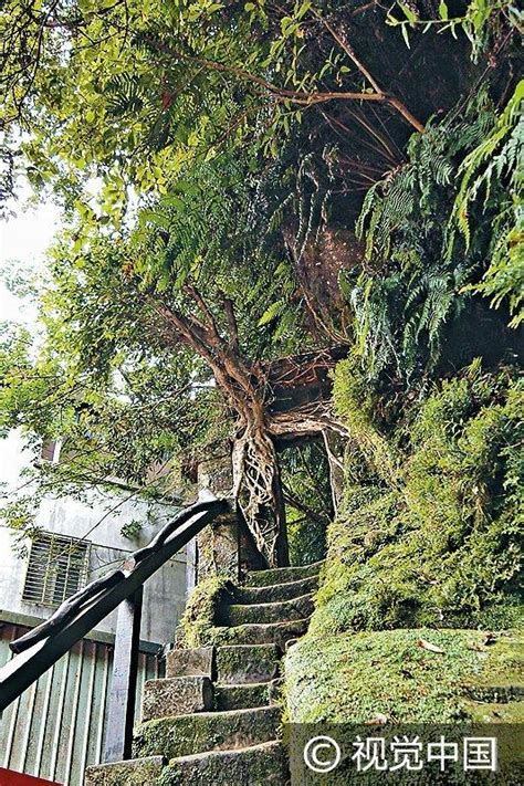 香港：石碇古驛 百年吊腳樓 每日頭條