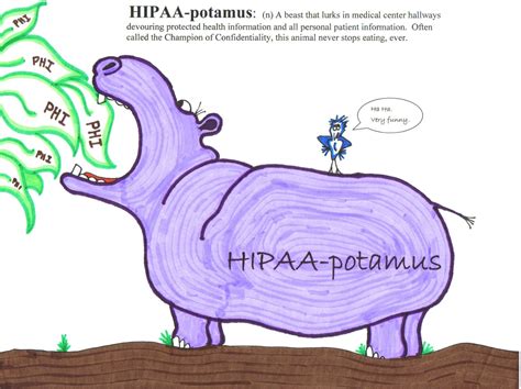 Hipaa Quotes