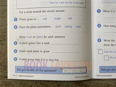 Ks1 English Targeted Question Book Year 2 Comprehension Book 1 купить в интернет магазине