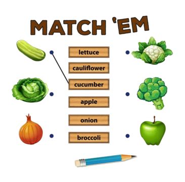 Matching Game With Fresh Vegetables Fruit Clip Game Vector Fruit Clip Game Png And Vector