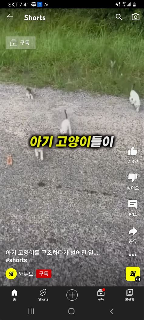 메이플스토리 인벤 존나 귀여운 유튜브 영상 봄 ㅋㅋㅋ 메이플스토리 인벤 자유게시판 구