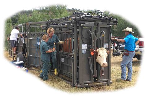Titan Portable Hydrualic And Manual Chutes Alley And Portable Tub