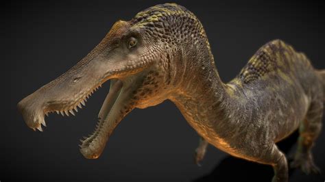 Irritator 3d Model By Robertfabiani [9796619] Sketchfab