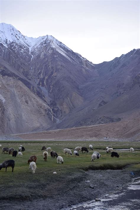 Page 3 Ladakh 1080p 2k 4k 5k Hd Wallpapers Free Download