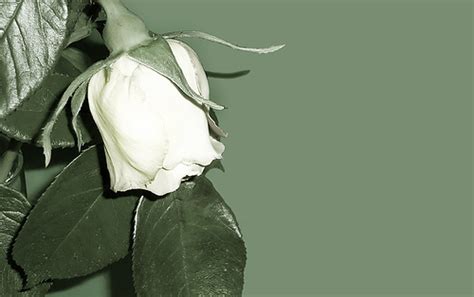 Equivalence Principle Wikichoeclaiste