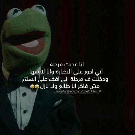 Pin By Maged Rayan On ضفدع كامل Funny Arabic Quotes Funny Quotes