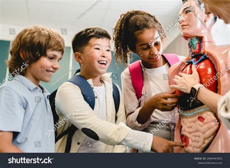 Learning Anatomy