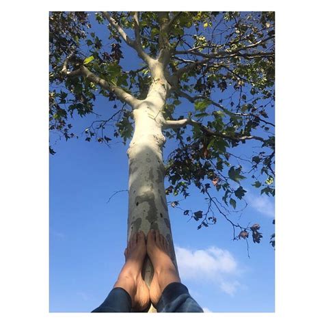 Fernanda Limas Feet