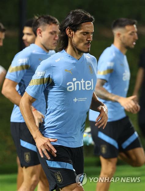 훈련하는 카바니 연합뉴스