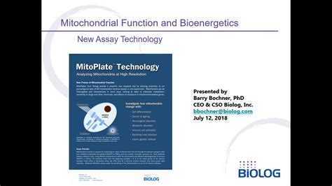 Mitochondrial Function And Bioenergetics New Assay Technology On Vimeo