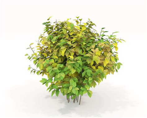 Realistic Shrub Bush Set 3 3D Model By Nhattuankts