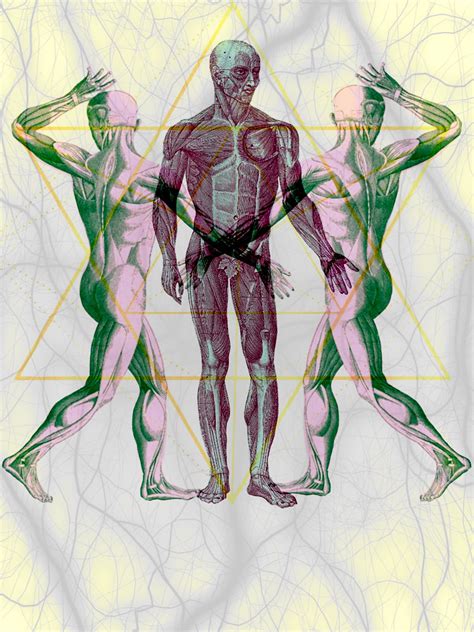 Fascia Your Emotional Interface