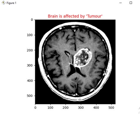 Bikasuzzamans Projects