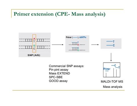 Snp Genotyping Technologies