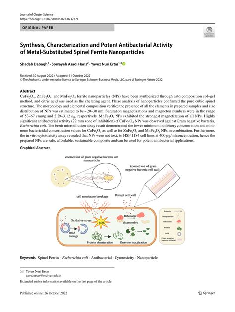 Pdf Synthesis Characterization And Potent Antibacterial Activity Of Metal Substituted Spinel