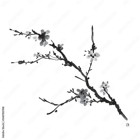 イラスト素材梅の花の和風筆絵モノトーンイラスト（年賀状素材） Stock Vector Adobe Stock