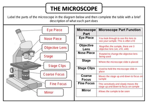Microscope Worksheet Ks3 Ks4 Teaching Resources