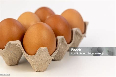 흰색 배경에 골판지 계란 상자에 원시 치킨 계란 패키지에 계란 0명에 대한 스톡 사진 및 기타 이미지 0명 가득 찬