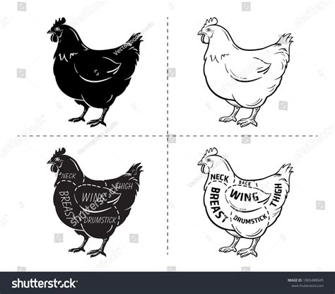 Cut Meat Set Poster Butcher Diagram Stock Vector Royalty Free