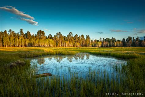 A Grassy Reflection Chris Frailey Photography