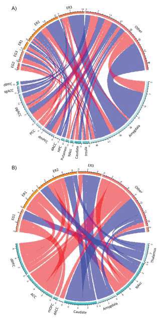 Aberrant Resting State Functional Connectivity Chord Diagrams