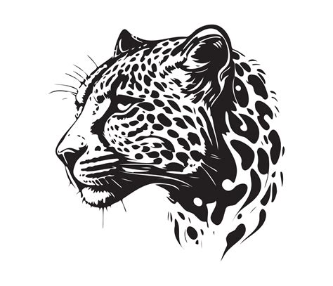 Leopard Face Silhouettes Leopard Face Black And White Leopard Vector