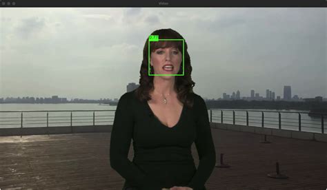 Opencv Python快速入门系列30案例：实时人脸检测 天煜博客