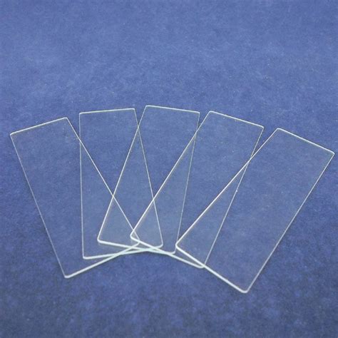 Blank Microscope Slides Glass 50 Pcs — Science And Nature Co