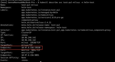 Can Not Connect To Milvus Proxy From Milvus Insight · Issue 277