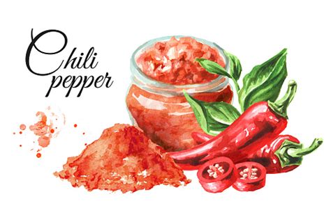 가루 소스 녹색 잎포드를 곁들인 레드 핫 칠리 페퍼 카드 흰색 배경에 격리 된 손으로 그린 수채화 그림 가루로 빻은에 대한 스톡 벡터 아트 및 기타 이미지 Istock