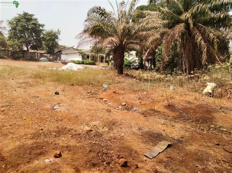 Terrains Parcelles VENTE DE TERRAIN Conakry Banabaana