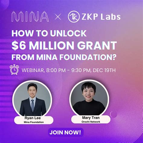 zkp labs viet nam on linkedin 🔑 how to secure a 6m grant from mina