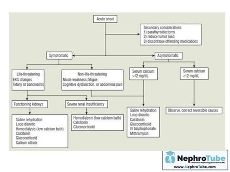 Hypercalcemia Practical Approach Dr Gawad