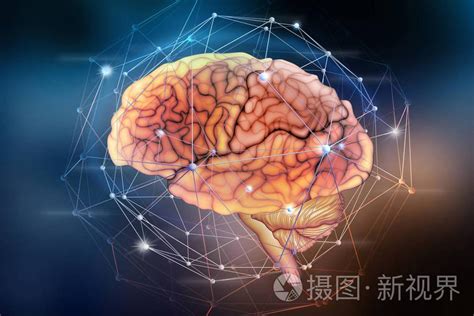 优化算法学习总结 知乎