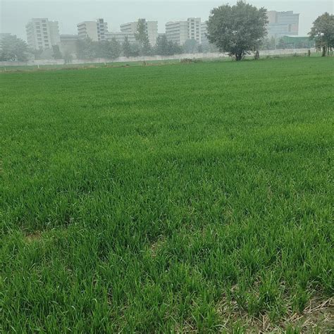 Vishal Chouhan Product Designer Delhi Repairs Xing