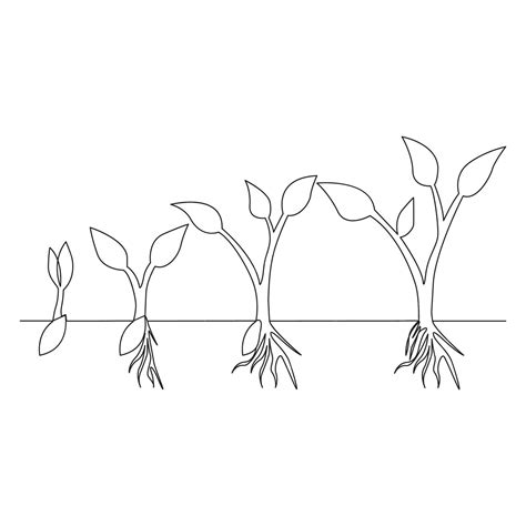 Dessin Au Trait Illustration Du Traitement De La Croissance Des Plantes