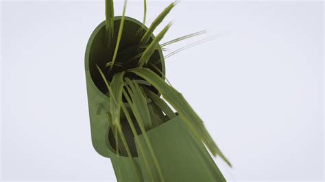 3d Science Animation What Is Cellulose
