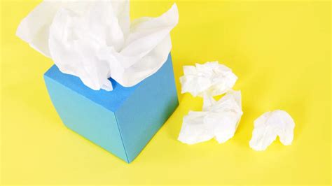 Surprising Relief For Your Stuffy Nose Have Sex