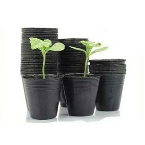 Powder Plant Nutrient For Agriculture Bag At ₹ 350 Litre In Ahmedabad