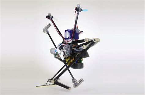 Meet Salto 1p The Jumping Robot • Techcrunch