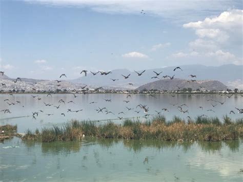 Lagunas de Xico una hermosa área natural que no ha podido ser recuperada