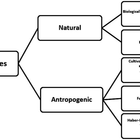Sources Of Reactive Nitrogen Download Scientific Diagram
