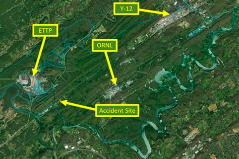 Falling Tree Fatality Investigation Report
